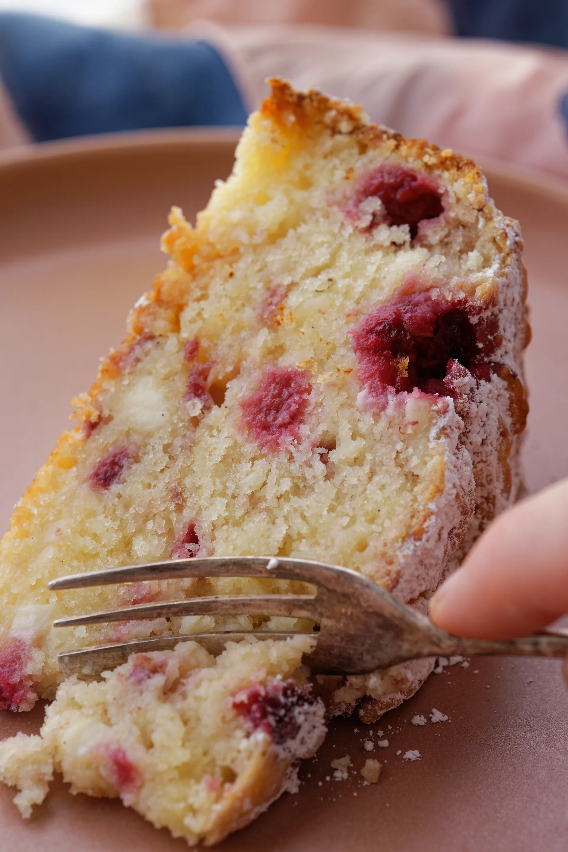Easy Raspberry Ricotta Cake - Miss Molly Makes